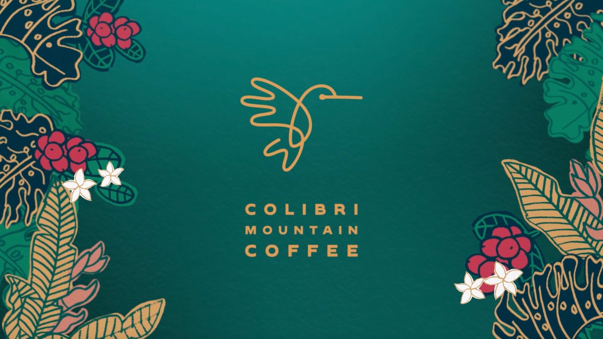 Behind our Name: Colibri Mountain Coffee – Delirio ColdBrew